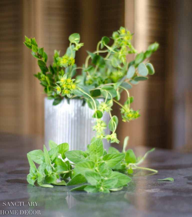 Make This Spring Flower Arrangement in 3 Easy Steps - Sanctuary Home Decor