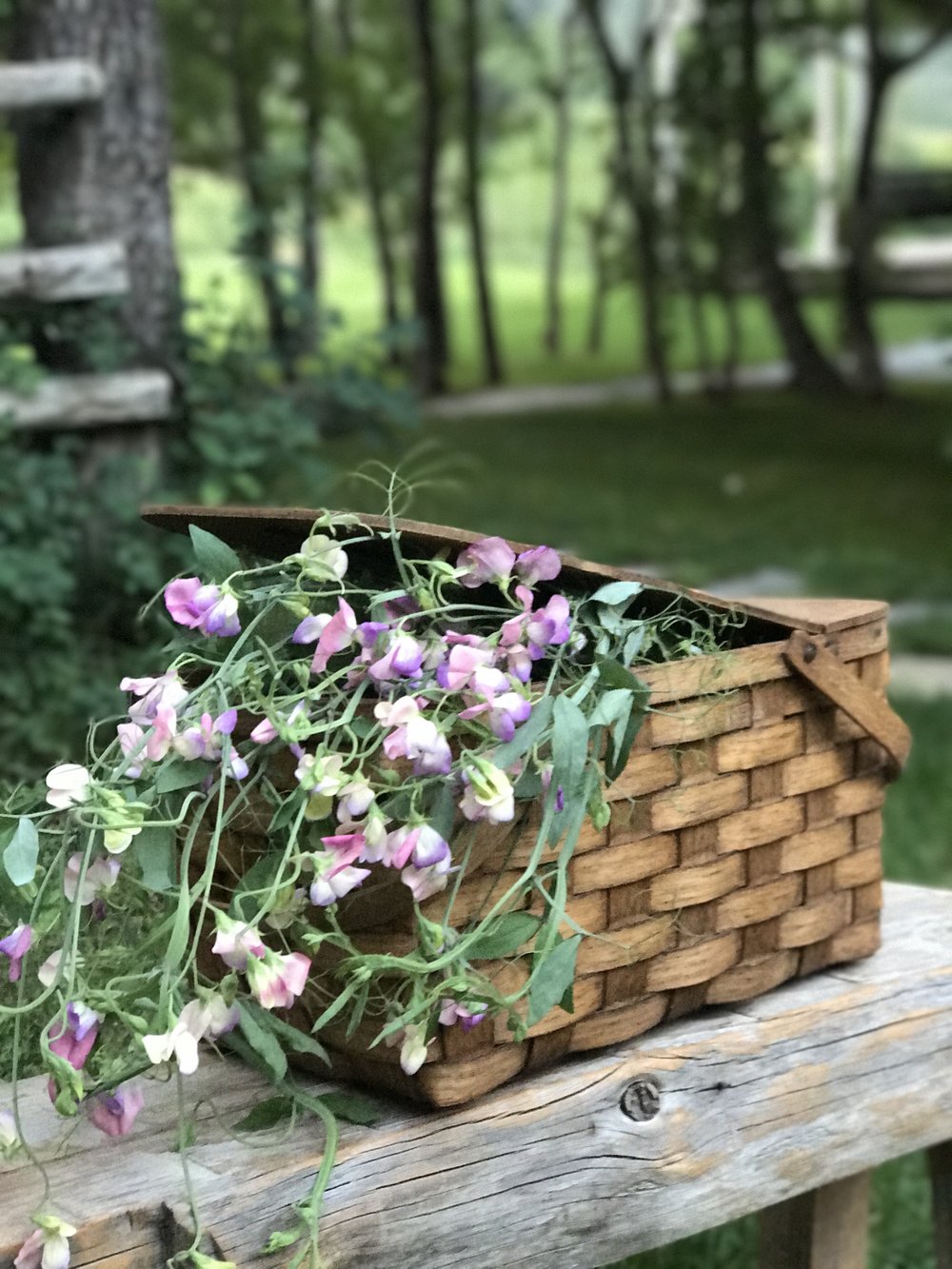 15 Unique Vase Ideas From Rustic to Classic - Sanctuary Home Decor