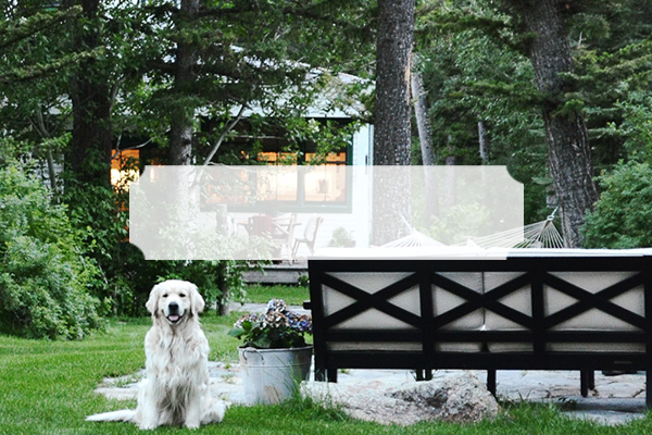 Our Homes - Sanctuary Home Decor