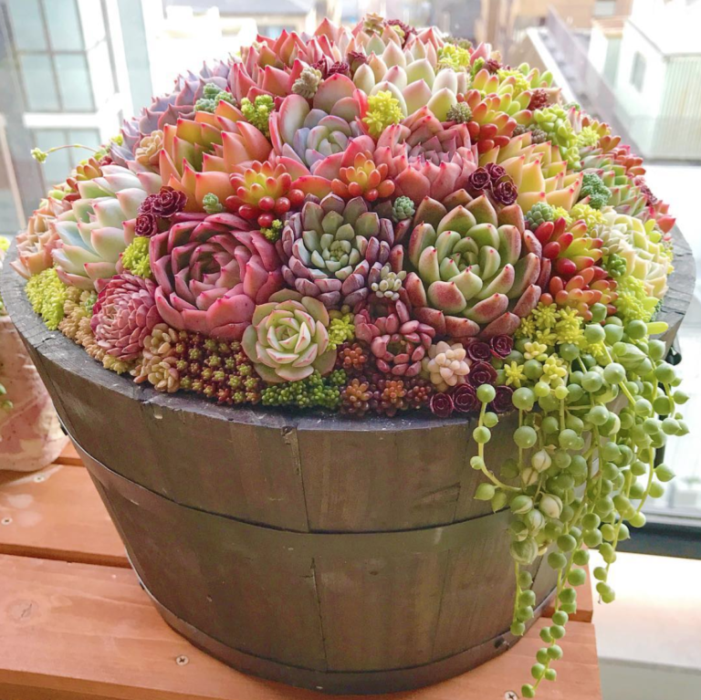 15 Unique and Beautiful Container Garden Ideas - Sanctuary Home Decor