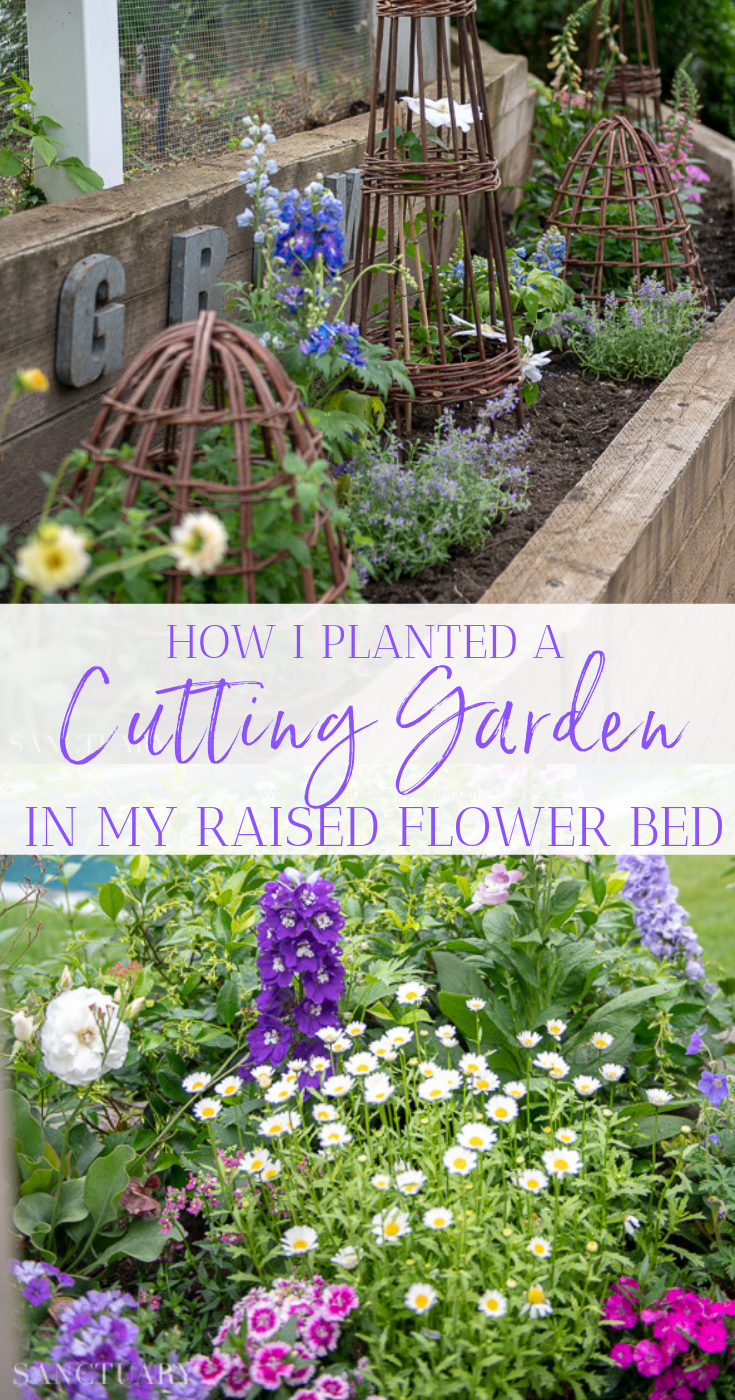 How I Planted A Cutting Garden In My Raised Flower Bed - Sanctuary Home ...