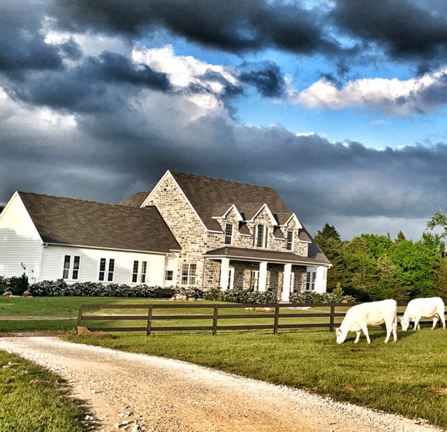 Thistle Hill Ranch, A Rustic Elegant Farmhouse - Sanctuary Home Decor