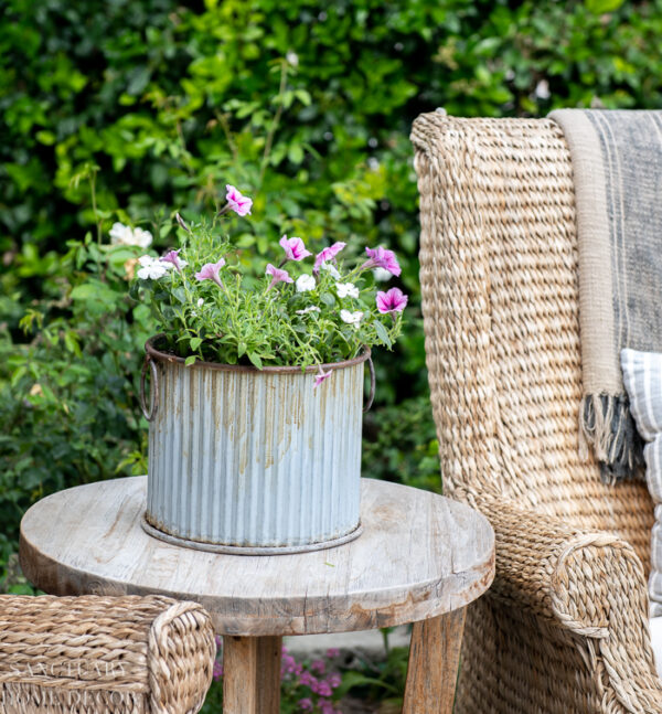 Outdoor Decorating with Potted Plants - Sanctuary Home Decor