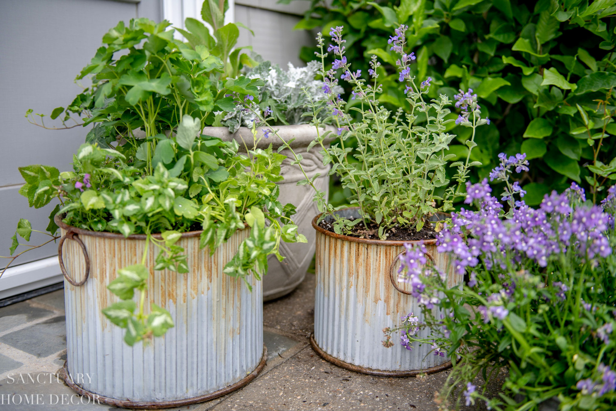 Unique Container Ideas for Garden Planting - Sanctuary Home Decor