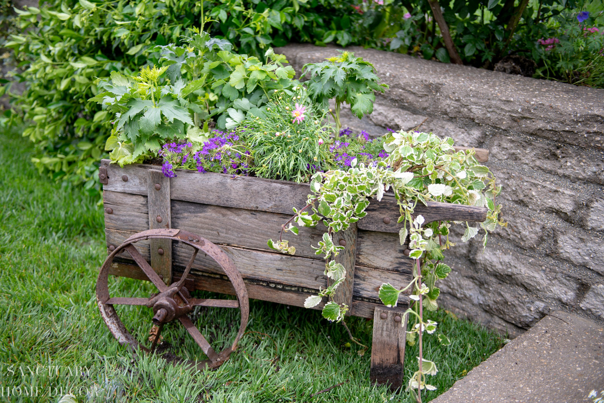 Unique Container Ideas for Garden Planting - Sanctuary Home Decor
