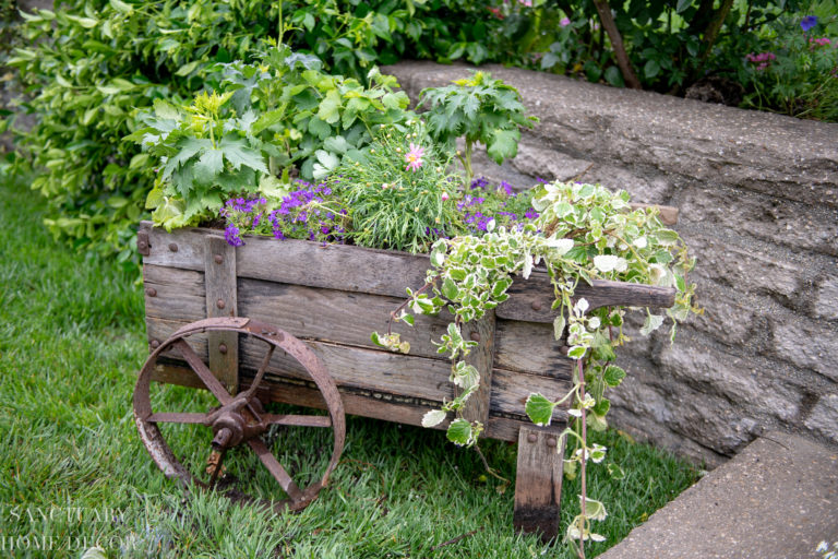 Unique Container Ideas for Garden Planting - Sanctuary Home Decor
