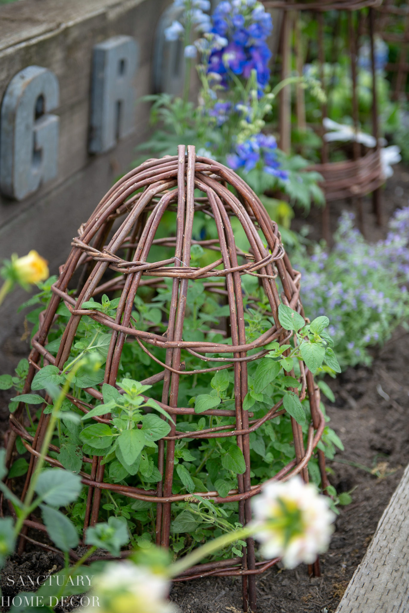 Unique Container Ideas for Garden Planting - Sanctuary Home Decor