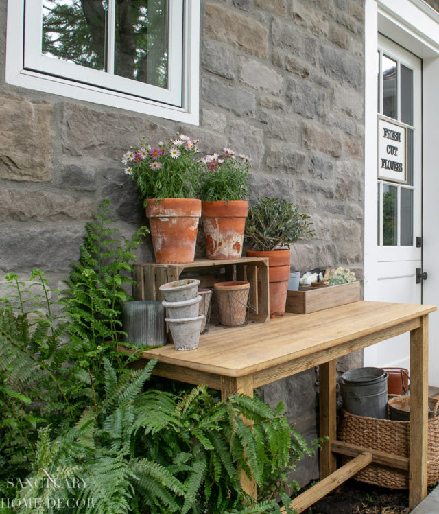 Unique Container Ideas for Garden Planting - Sanctuary Home Decor