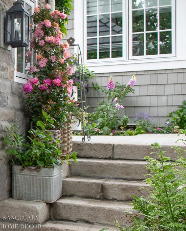 Unique Container Ideas for Garden Planting - Sanctuary Home Decor