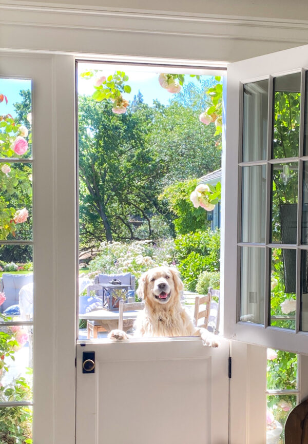 My Messy Beautiful Home - Sanctuary Home Decor